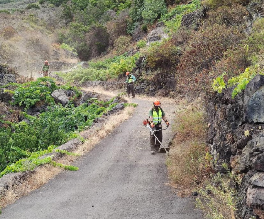 Diario El Hierro - El Cabildo de El Hierro prosigue con la retirada de ... Diario El Hierro - El Cabildo de El Hierro prosigue con la retirada de ...